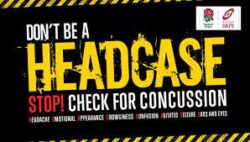 YOU have a vital role to play in protecting player welfare - Woodbridge ...